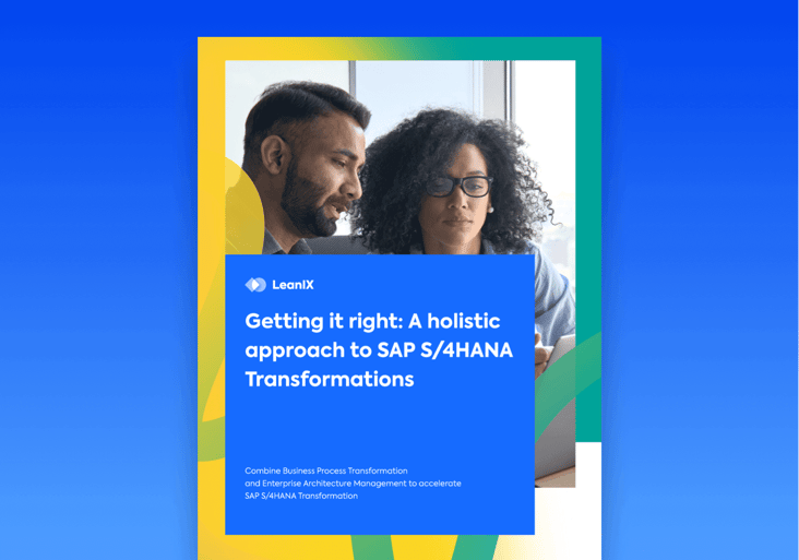 What is RICEFW in SAP? Meaning and Examples | LeanIX